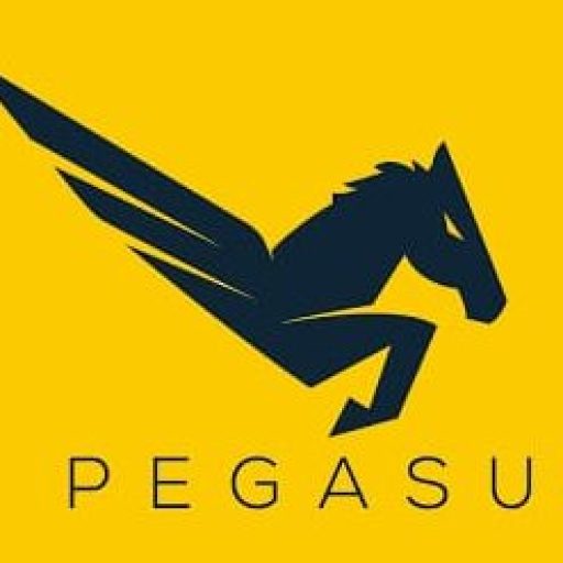 Shop – PEGASUS GLOBAL CO.